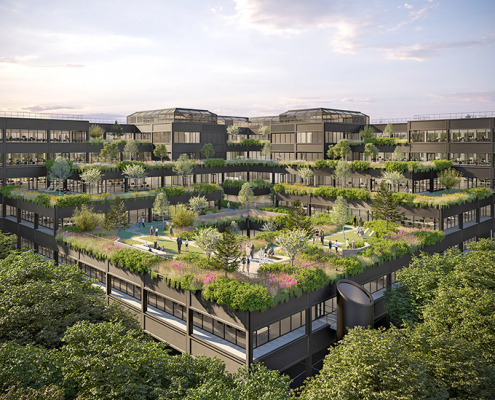 Whitby Wood • Projects