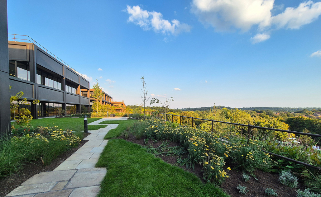 Whitby Wood • Mountbatten House refurbishment complete